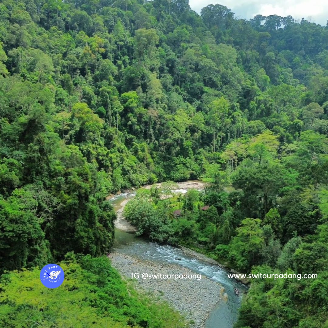 Paket Tour Bukit Lawang, Wisata Orangutan & Sumatra Wildlife 5 Hari 4 ...