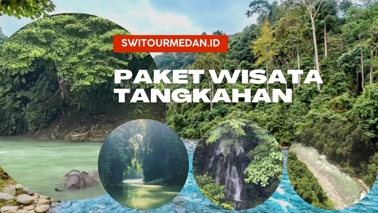 Paket Wisata Tangkahan 3 Hari 2 Malam, Wisata Gajah Sumatera - Paket ...